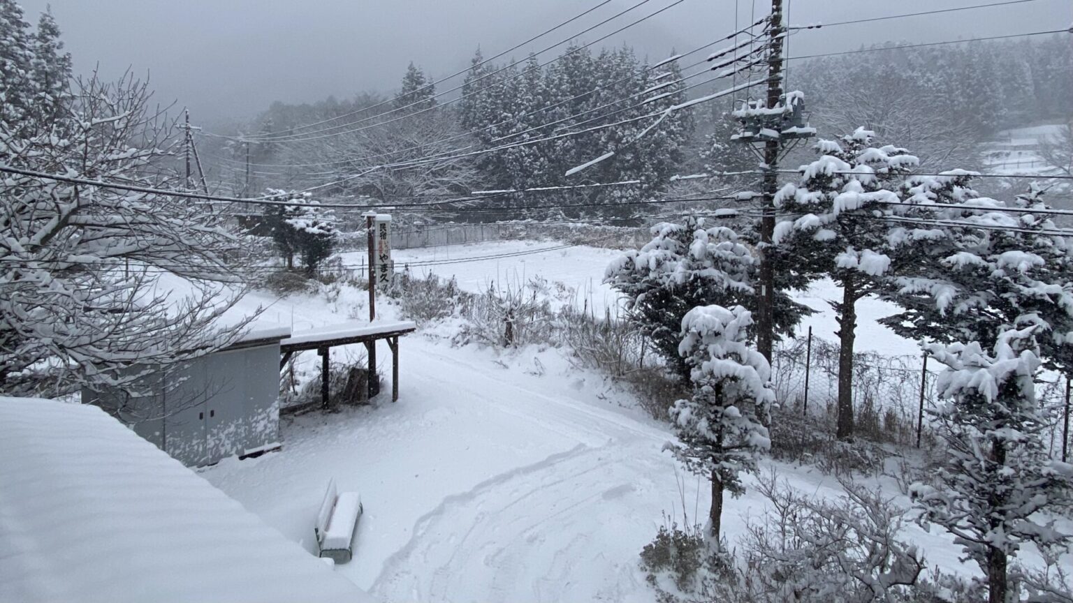営業部里見 2024年1月30日 | 株式会社SOLPIR – 東京都心の総合不動産
